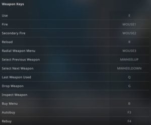 Best Counter-Strike: Global Offensive (CS:GO) Settings | High Ground Gaming