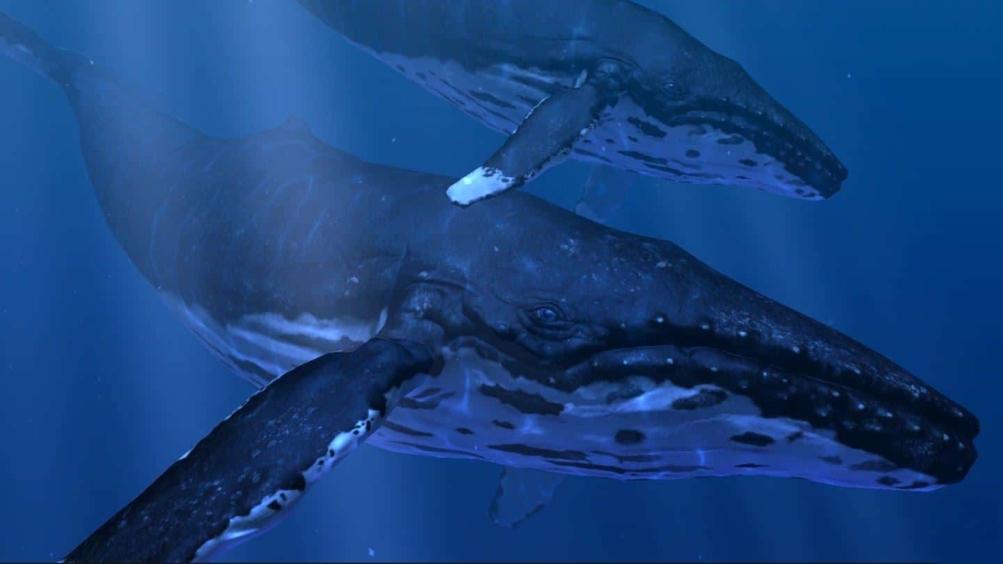 The 5 Best Oculus Go Games | High Ground Gaming