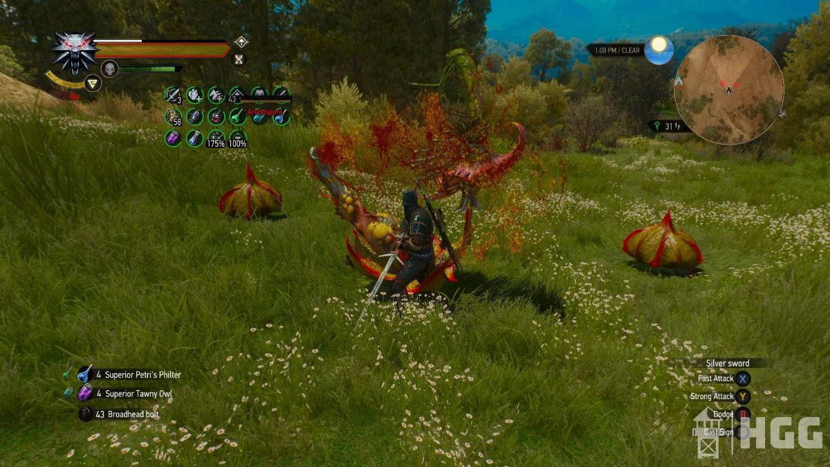 The Witcher 3: Cat School Gear Guide | High Ground Gaming