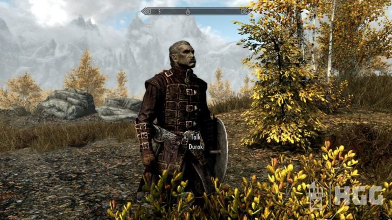25 Best Skyrim Followers Ranked | High Ground Gaming