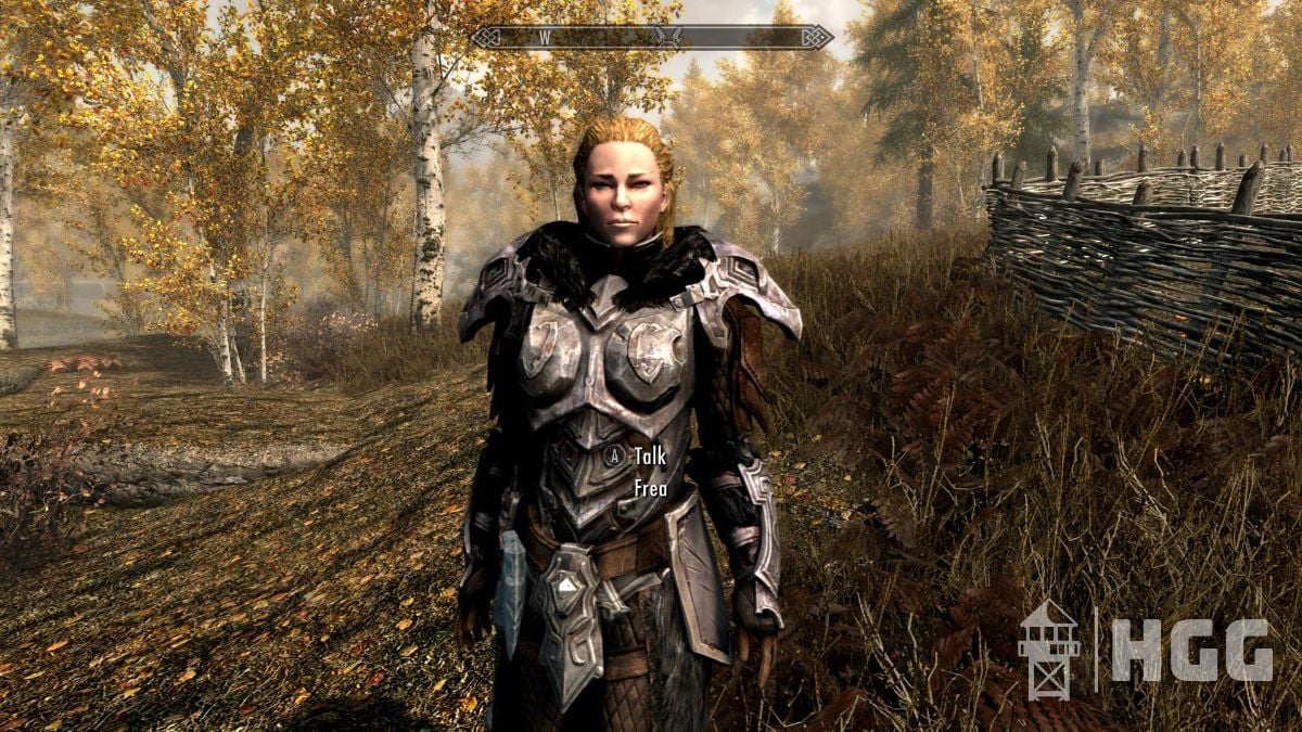 25 Best Skyrim Followers Ranked | High Ground Gaming