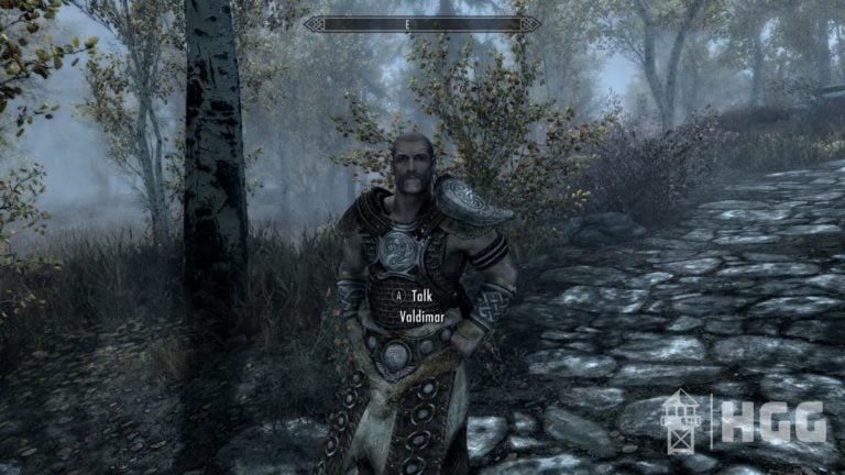 25 Best Skyrim Followers Ranked | High Ground Gaming