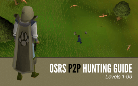 Old School RuneScape | 1-99 Hunter Training Guide (P2P) | HGG