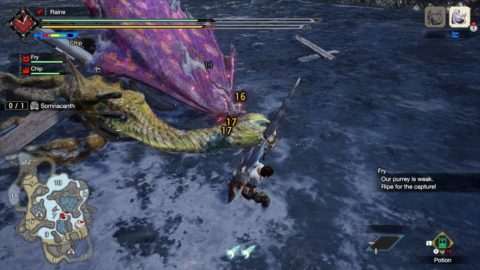 Monster Hunter Rise: How To Capture Monsters (And Why) | High Ground Gaming