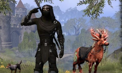 The 8 Best Nightblade Builds for ESO | High Ground Gaming