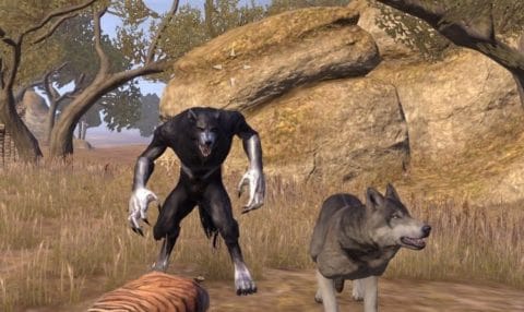ESO Werewolf Guide: Everything You Need To Know | HGG