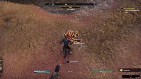 ESO Werewolf Guide: Everything You Need To Know | HGG