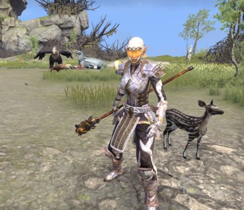 The 8 Best Templar Builds for ESO | High Ground Gaming