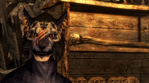 Any Follower Mods Like Inigo? – Follower mods that interact – NQETJ