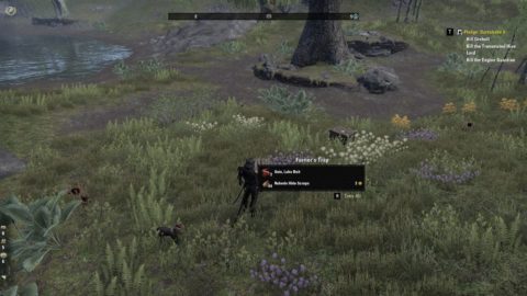 ESO Clothing Guide: How to Level Clothing | HGG