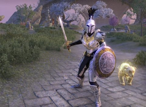 ESO Best Tank Class and Tier List | High Ground Gaming