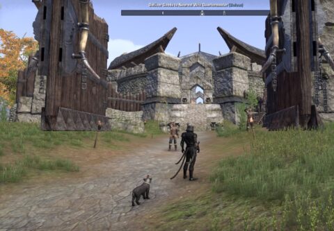 ESO Starting Zones Guide: Best Zone for Each Race | HGG