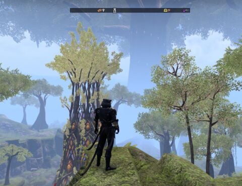 ESO Starting Zones Guide: Best Zone for Each Race | HGG