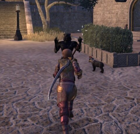 ESO: How to Become a Master Thief | High Ground Gaming