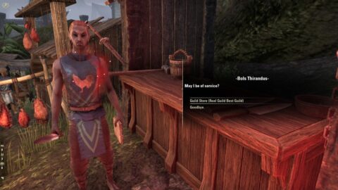 ESO: Joining a Guild Basics, Pros & Cons, How-To's | High Ground Gaming