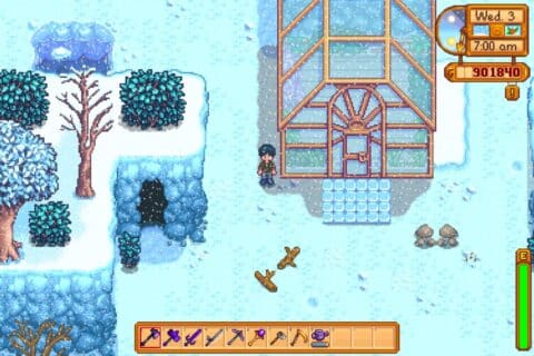 Best Winter Crops in Stardew Valley | High Ground Gaming