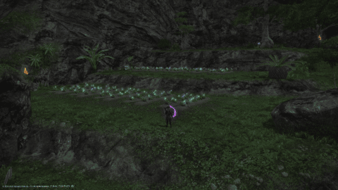FFXIV Island Sanctuary Guide (6.x) | High Ground Gaming
