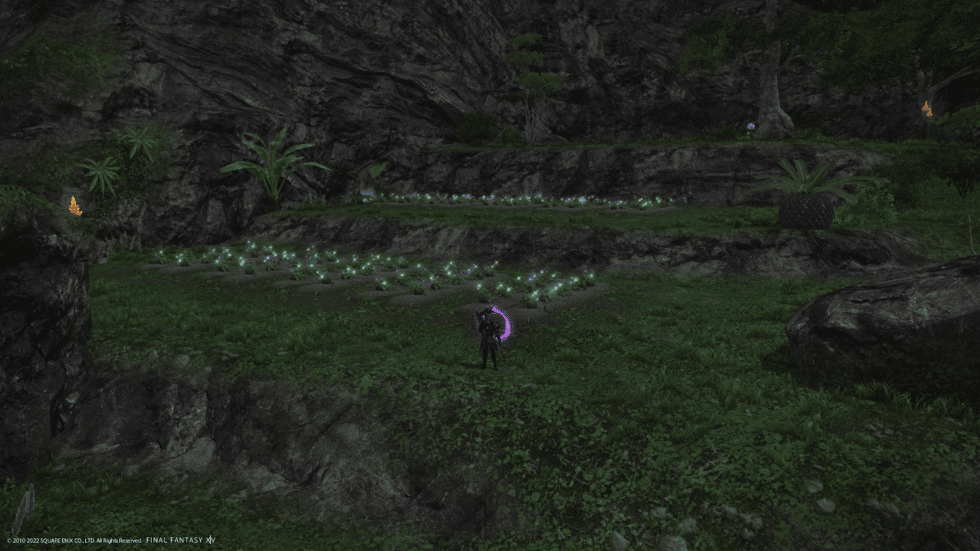 FFXIV Island Sanctuary Guide (6.x) | High Ground Gaming