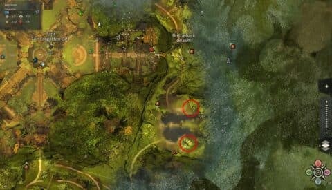 The Best Ranger Pets in Guild Wars 2 | HGG