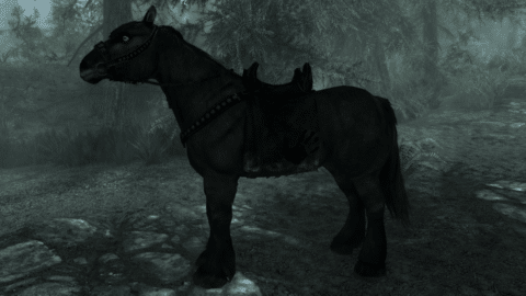 The Best Horses in Skyrim, Ranked | High Ground Gaming
