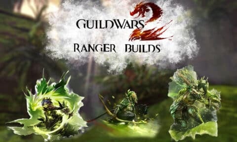 The Best Ranger Builds in Guild Wars 2