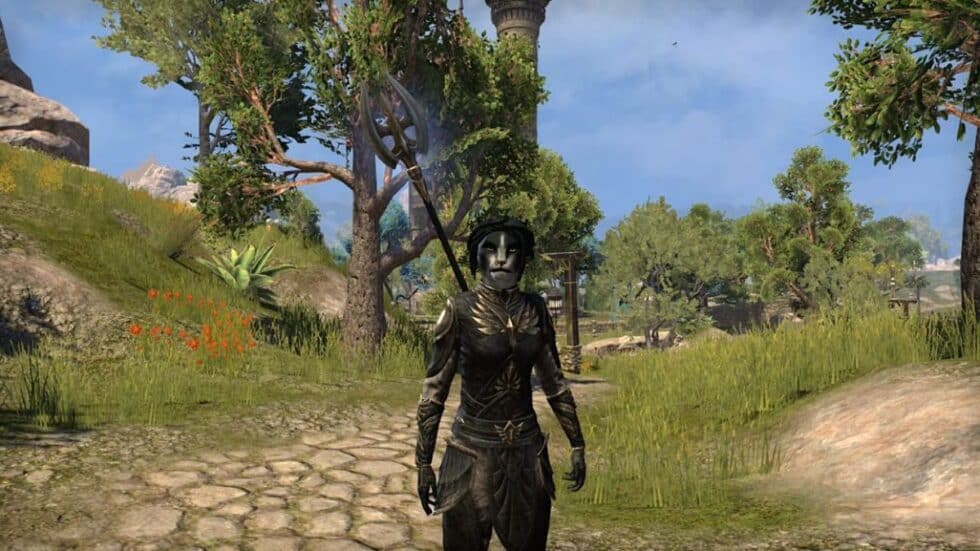 The Elder Scrolls Online: Companions Guide (2025) | High Ground Gaming