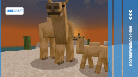 Minecraft Camels Guide: How to Breed, Tame, and Ride